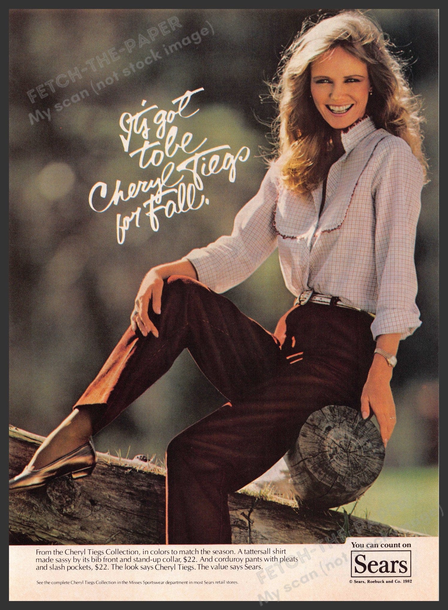 Sears Cheryl Tiegs 1980s Print Ad — Fetch-the-Paper