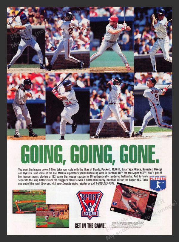 HardBall 2 Video Game 1990s Print Advertisement Ad 1994 — Fetch-the-Paper