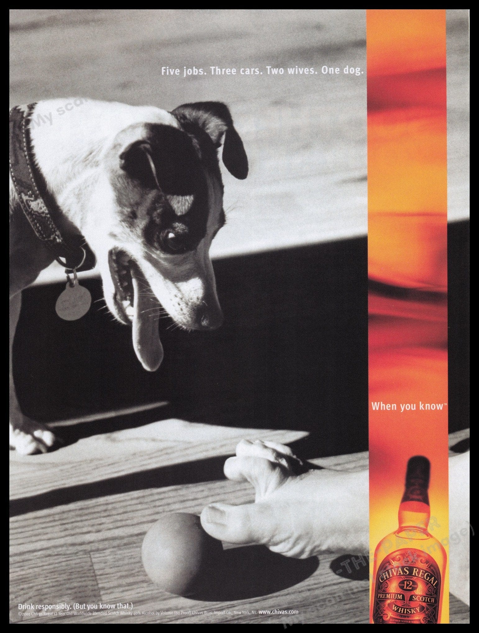 Chivas Regal 2001 Print Ad - Dog Ball Toes Vintage Advertisement ...
