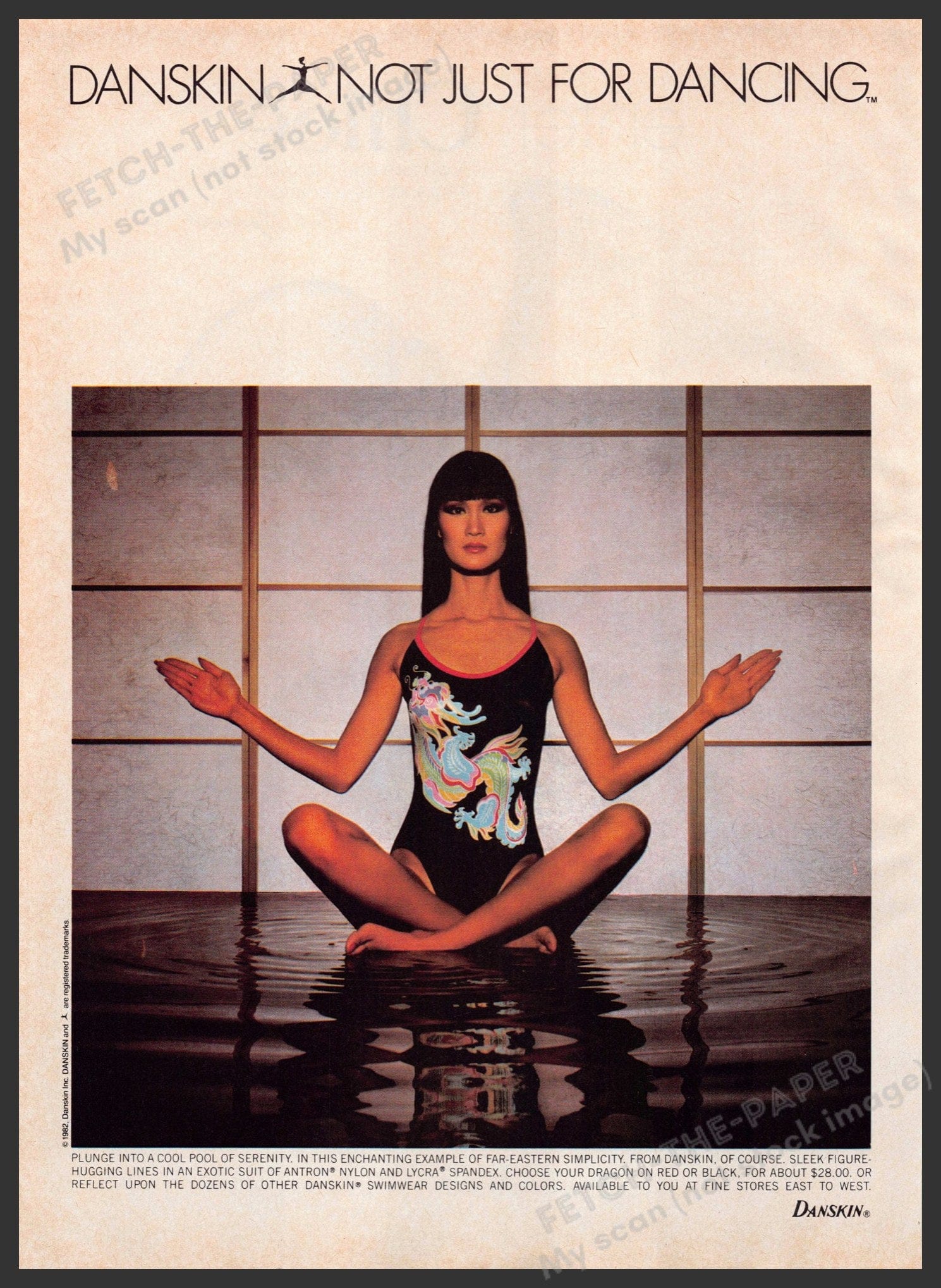 Danskin Swimwear 1980s Print Ad — Fetch-the-Paper