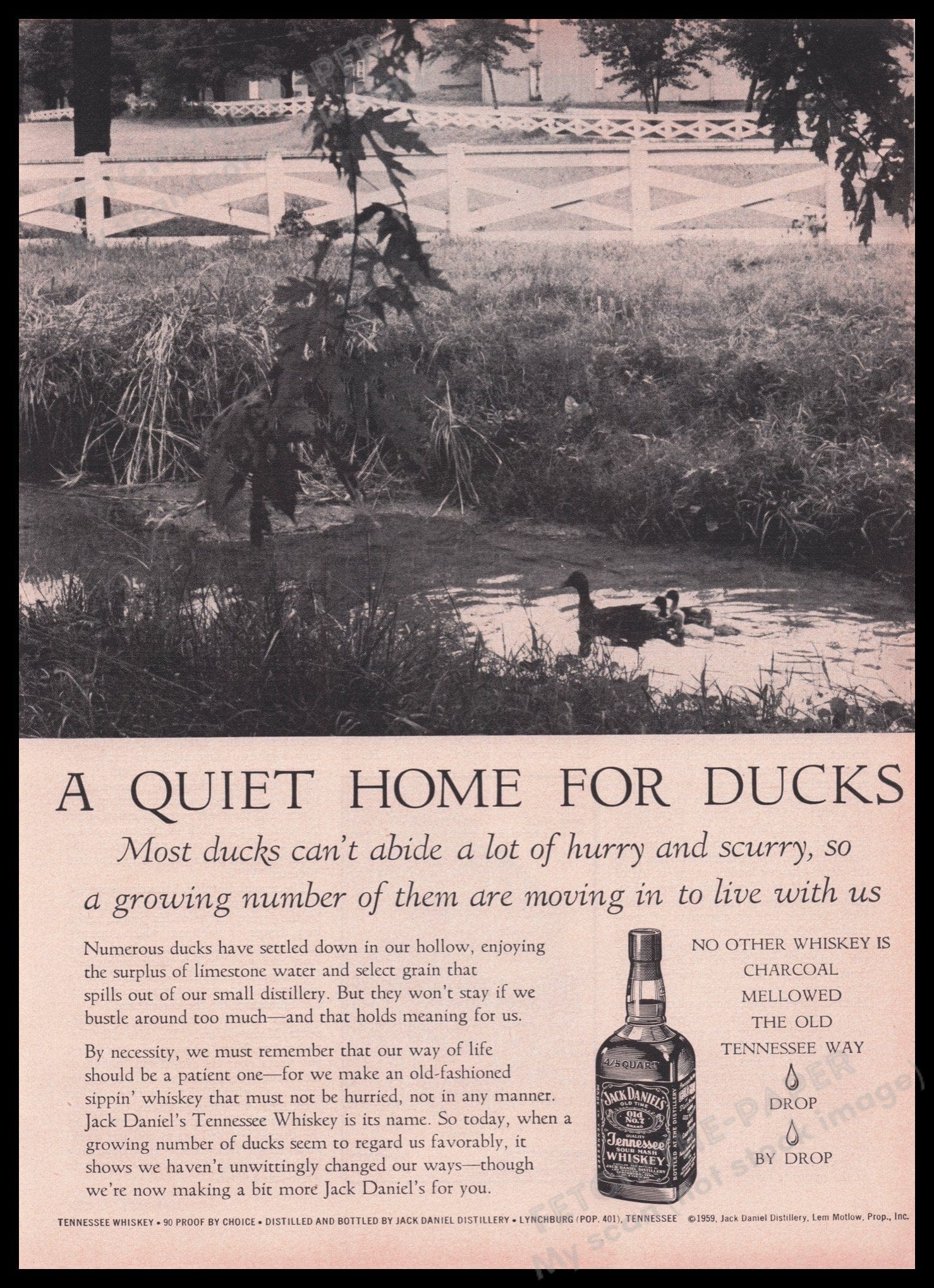 Jack Daniel's Tennessee Whiskey Duck Pond 1950s Print Advertisement Ad ...