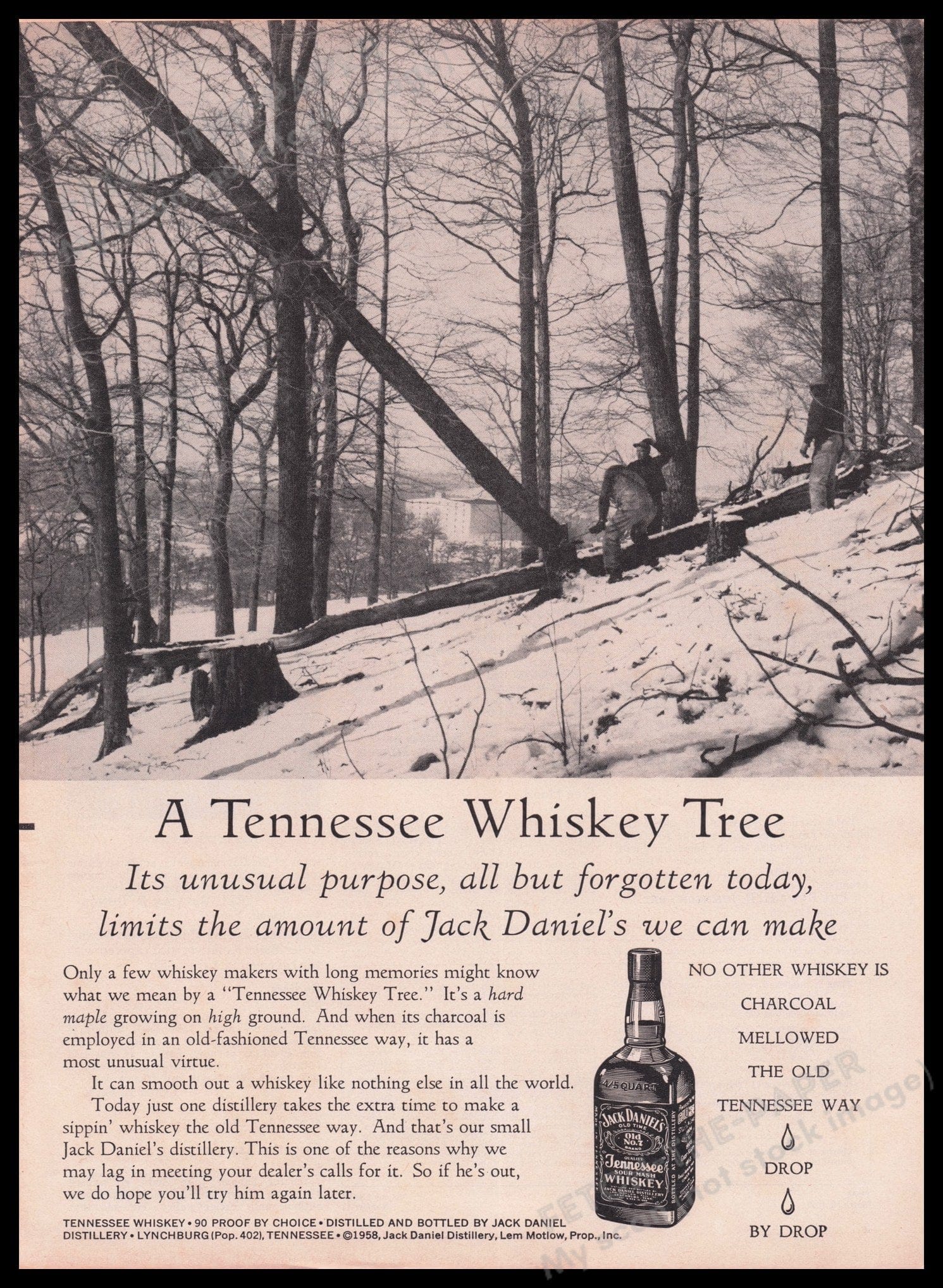 Jack Daniel's Tennessee Whiskey Tree 1950s Print Advertisement Ad 1959 ...