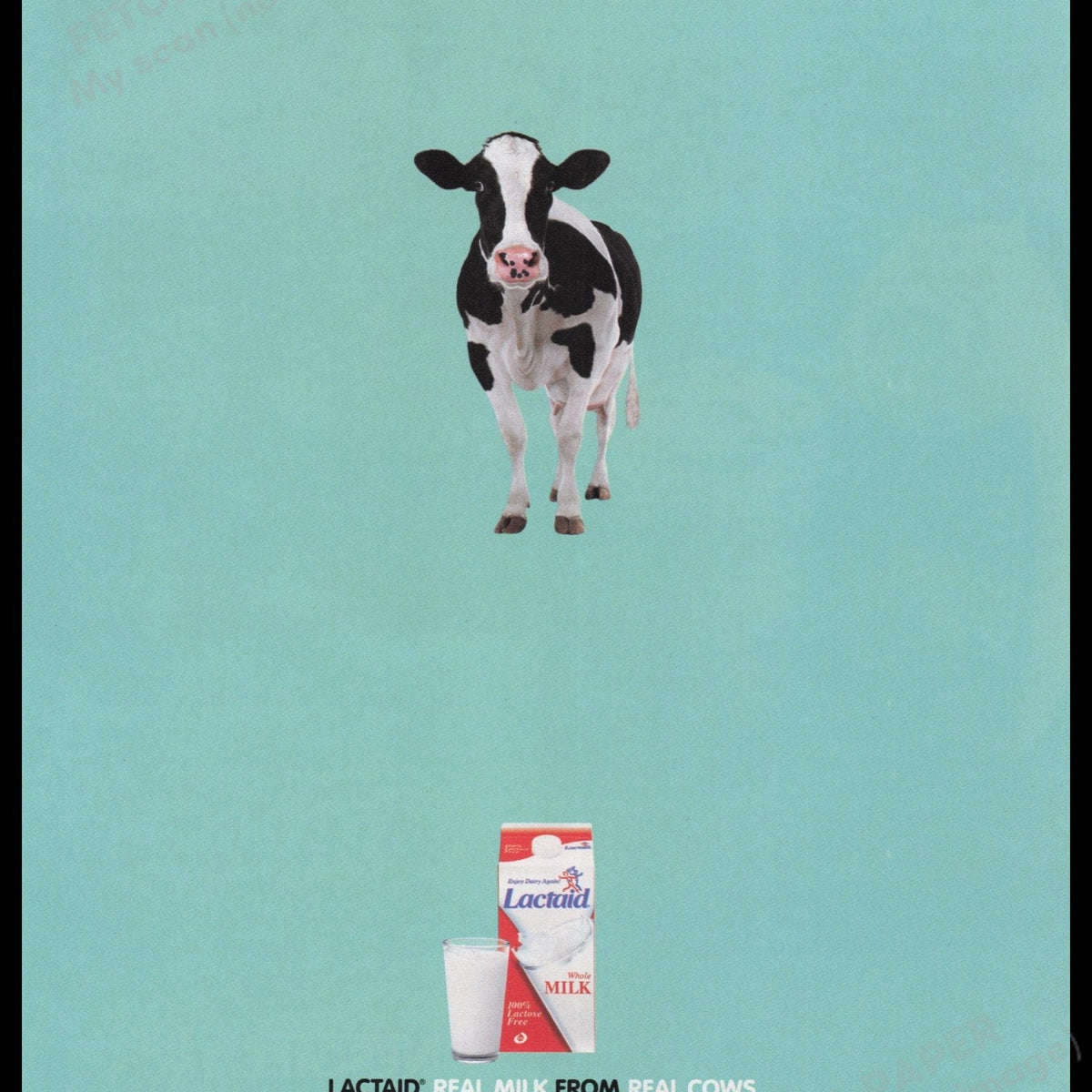 Lactaid Milk 2000s Print Advertisement Ad 2004 Diary Cow — Fetch-the-Paper