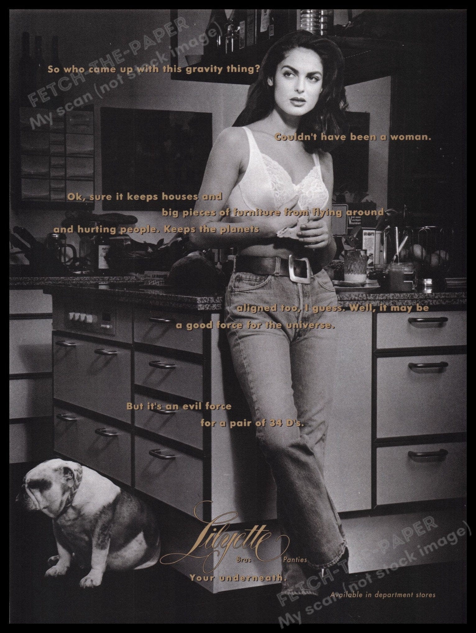 Lilyette Lingerie 1990s Print Advertisement Ad 1993 Bra Bulldog — Fetch ...