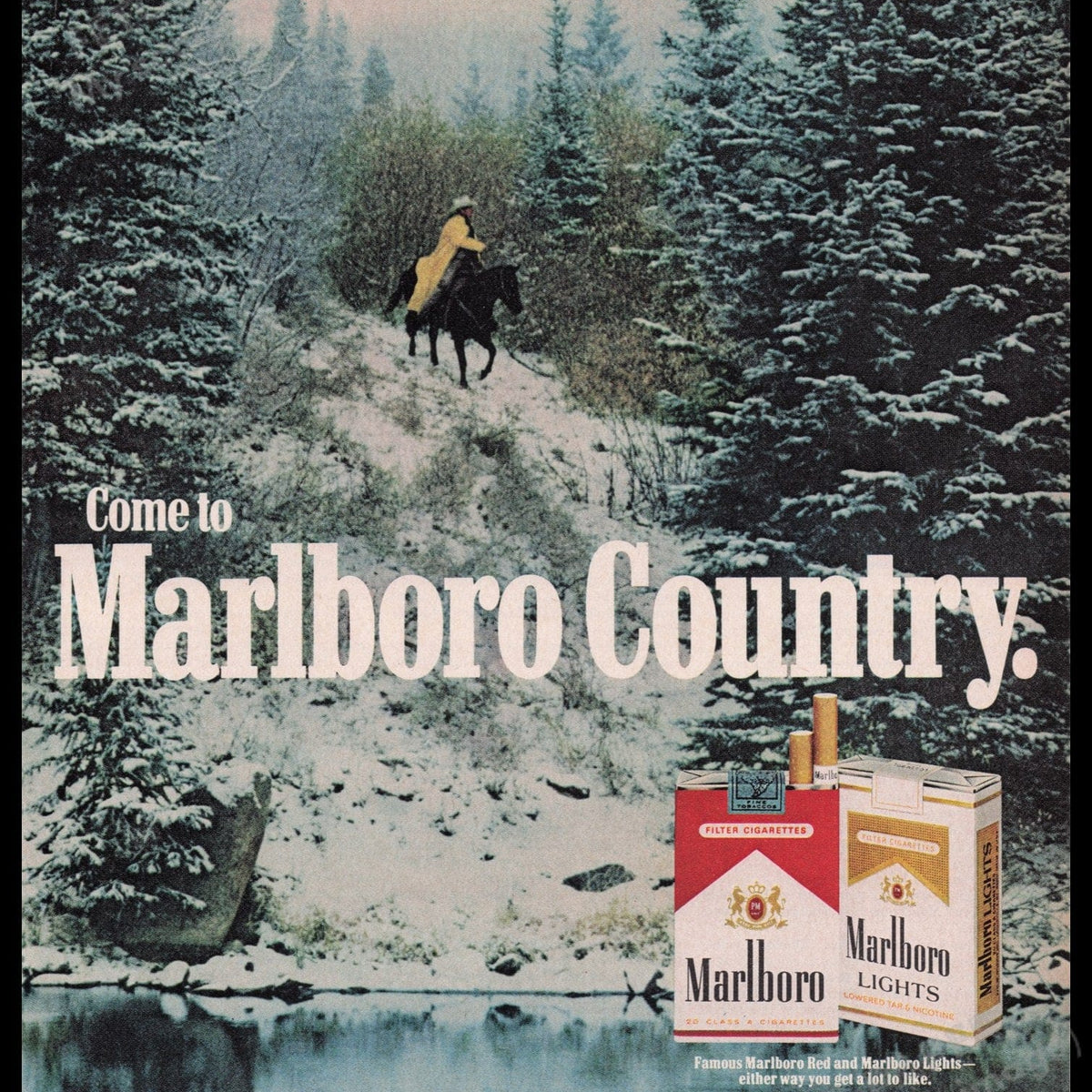 Marlboro Cigarettes Darrell Winfield 1980s Print Advertisement Ad 1981 ...