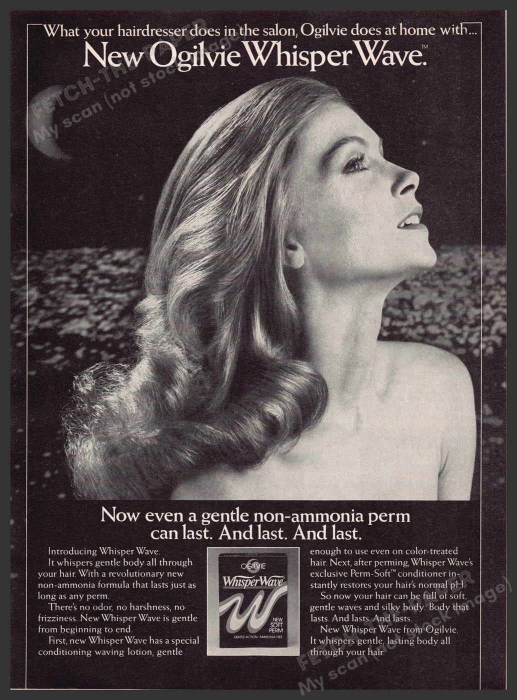 Ogilvie 1980s Magazine Print Ad 1981 Whisper Wave Hair Perm Salon — Fetch-the-Paper