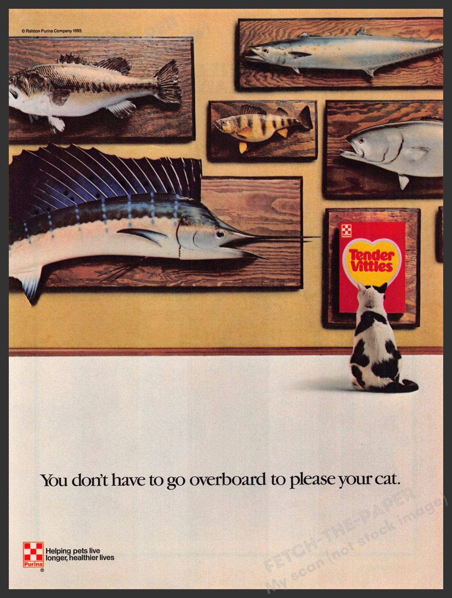 Purina Tender Vittles 1980s Magazine Print Advertisement 1985 Marlin F ...