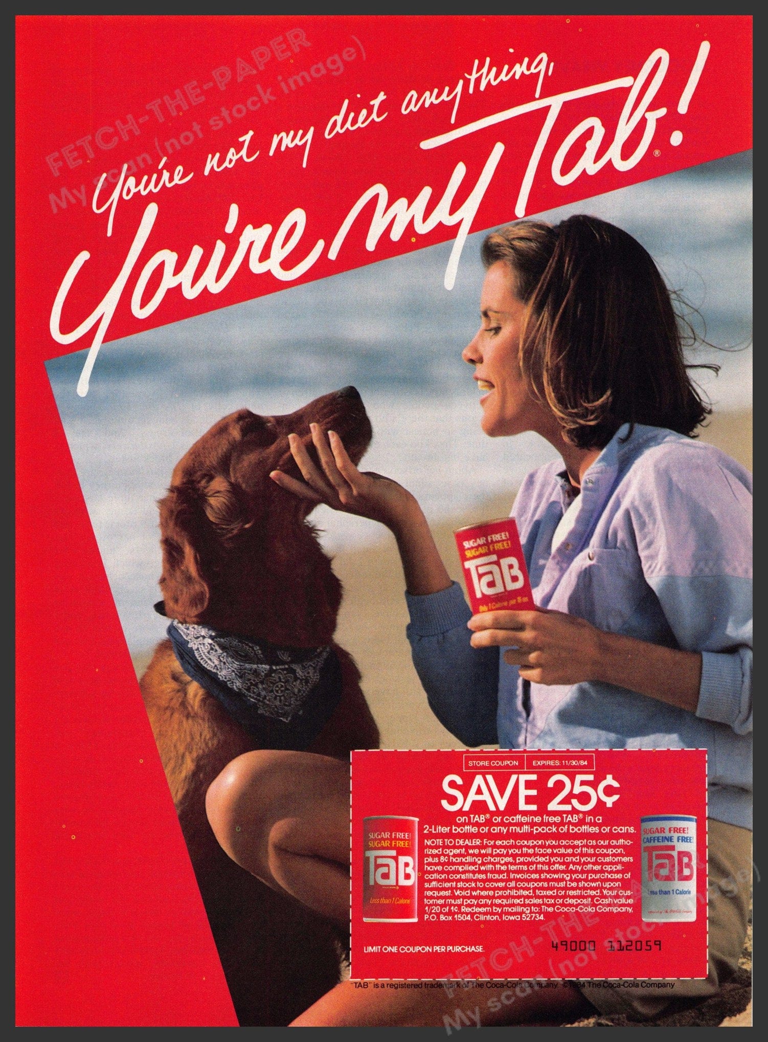 Tab Soda 1980s Magazine Print Advertisement 1984 Golden Retriever Dog ...