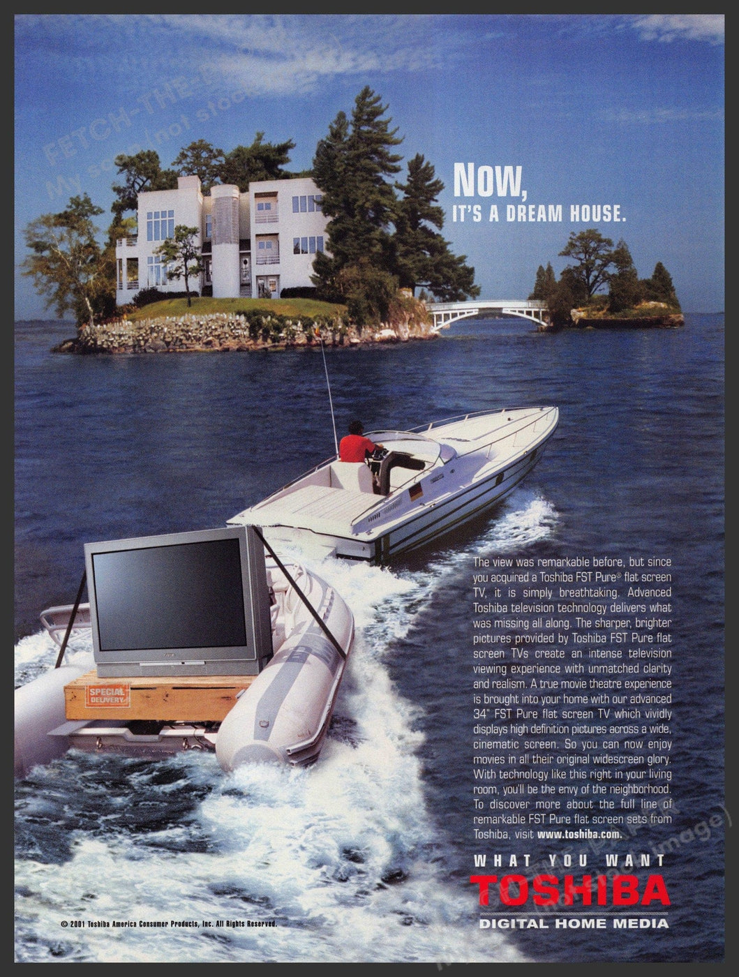 Toshiba FST Pure TV 2001 Print Ad - Island Home Scene — Fetch-the-Paper