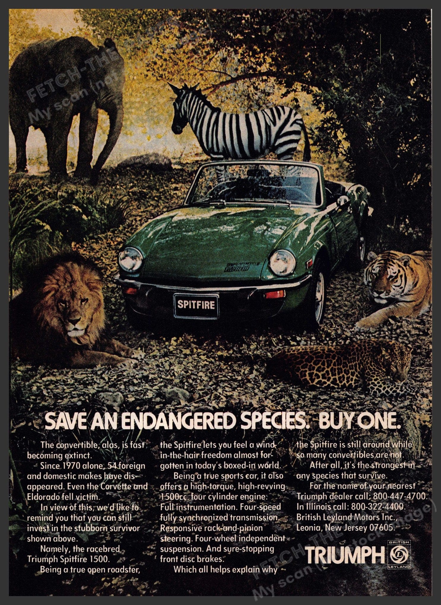 Triumph Spitfire 1970s Print Ad — Fetch-the-Paper
