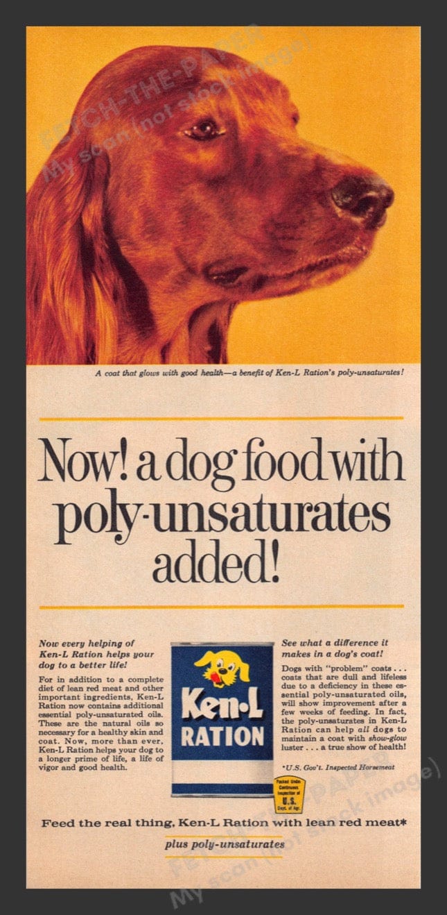 Ken-L Ration Dog Food 1963 Irish Setter Vintage Ad — Fetch-the-Paper