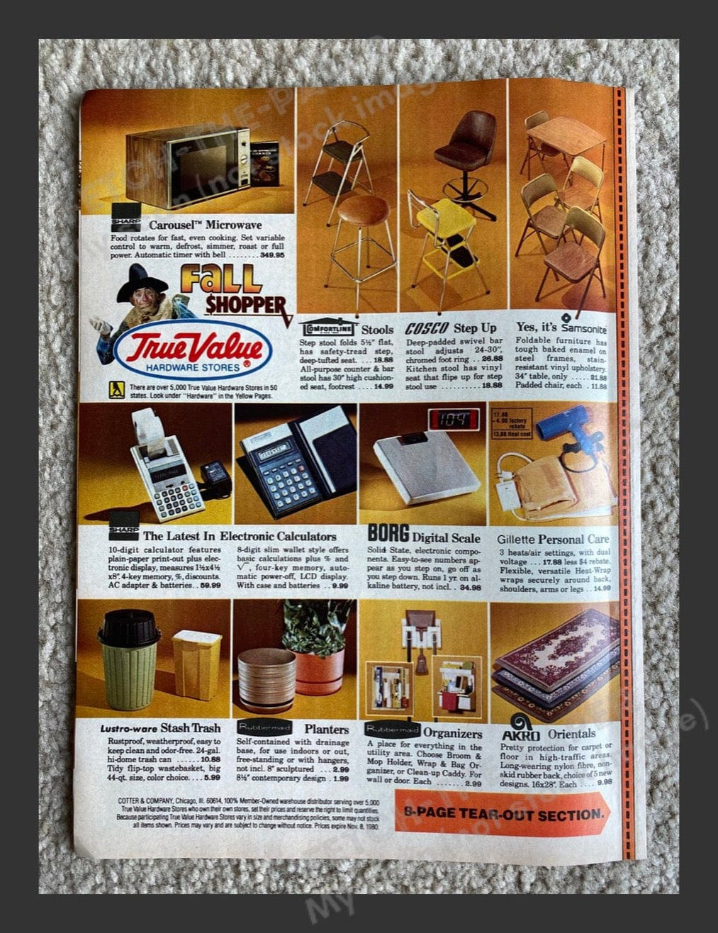 1980s True Value Fall Shopper Catalog Booklet Insert 1980 — Fetch-the-Paper