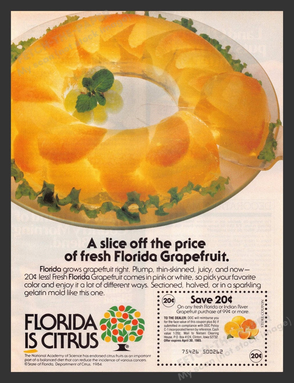 1985 Florida is Citrus Grapefruit Gelatin Mold Print Advertisement Ad ...