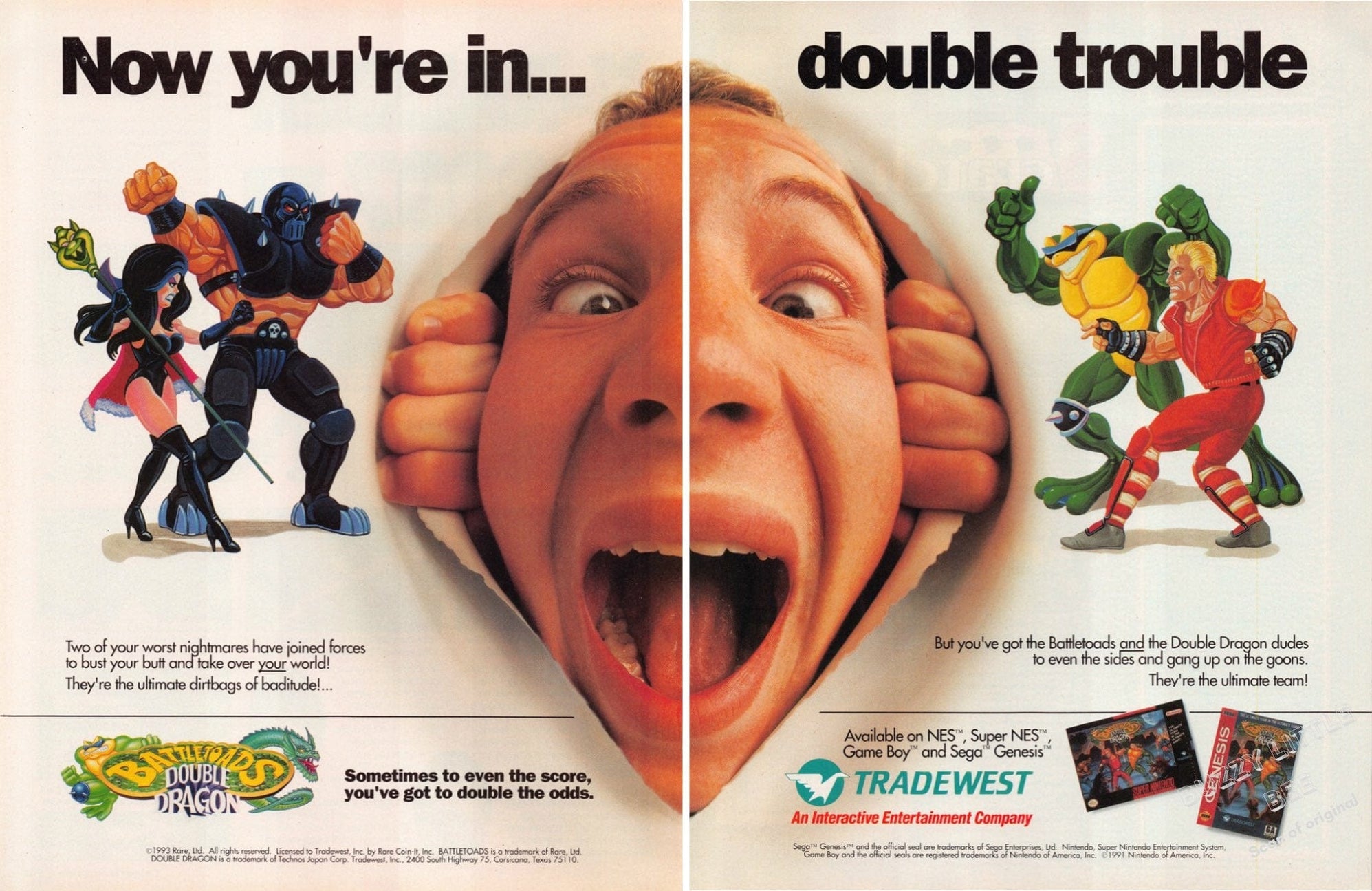 1993 Print Advertisement BattleToads & Double Dragon Trouble (2 pages) — Fetch-the-Paper