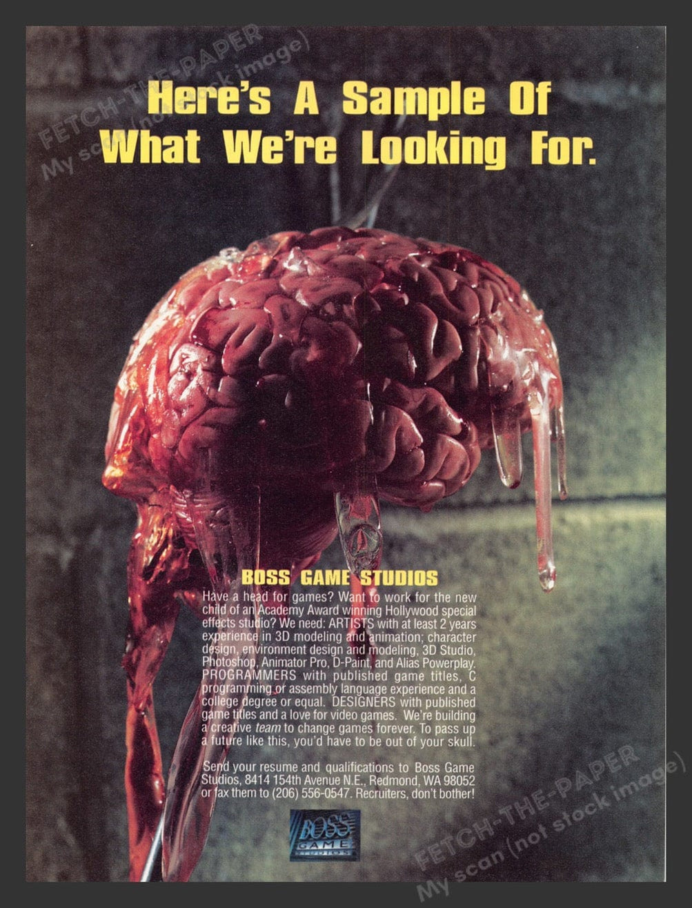 1995 Boss Game Studios Brain Video Game Print Advertisement — Fetch-the-Paper