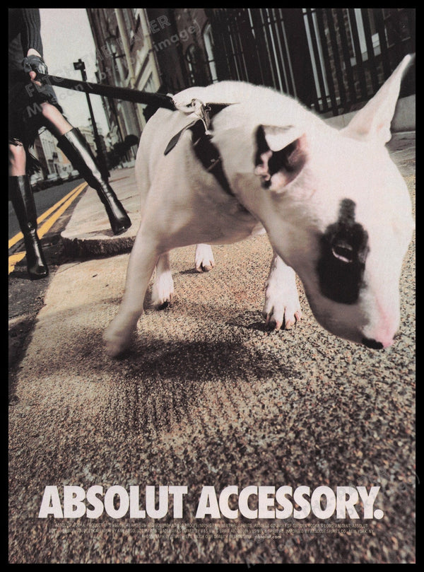 Absolut 2002 Ad with Bull Terrier Dog - Vintage Collectible — Fetch-the ...