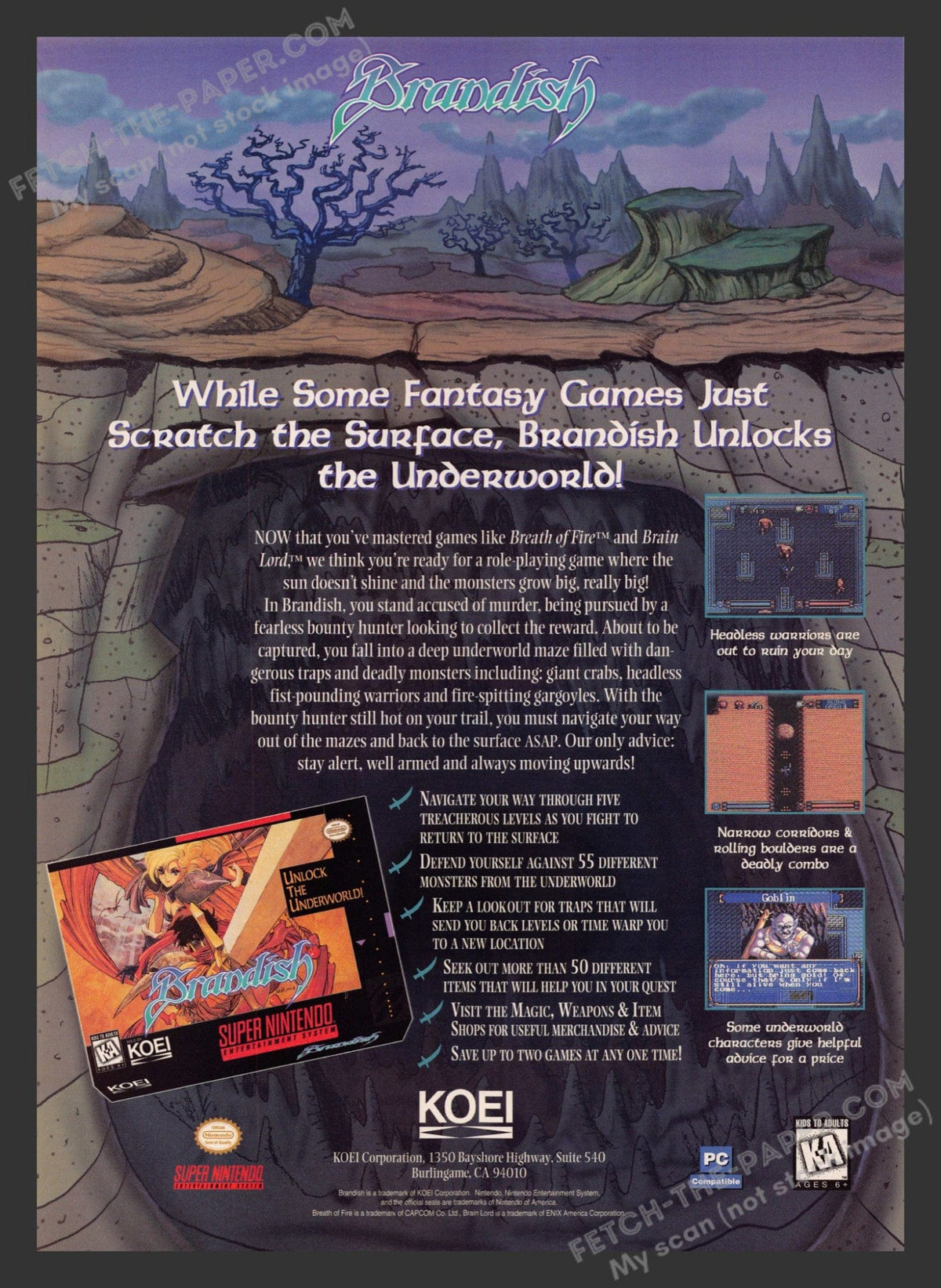 Brandish Video Game 1990s Print Advertisement 1995 — Fetch-the-Paper