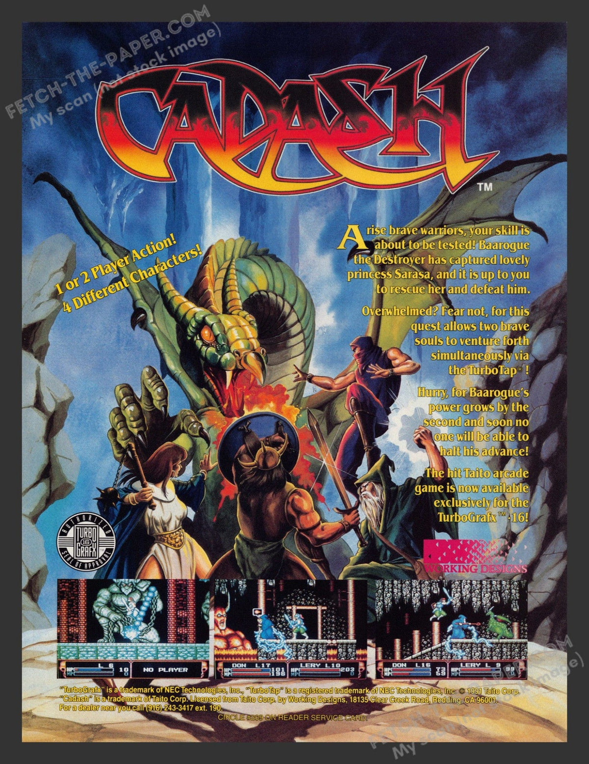 Cadash Video Game 1990s Print Advertisement 1991 — Fetch-the-Paper