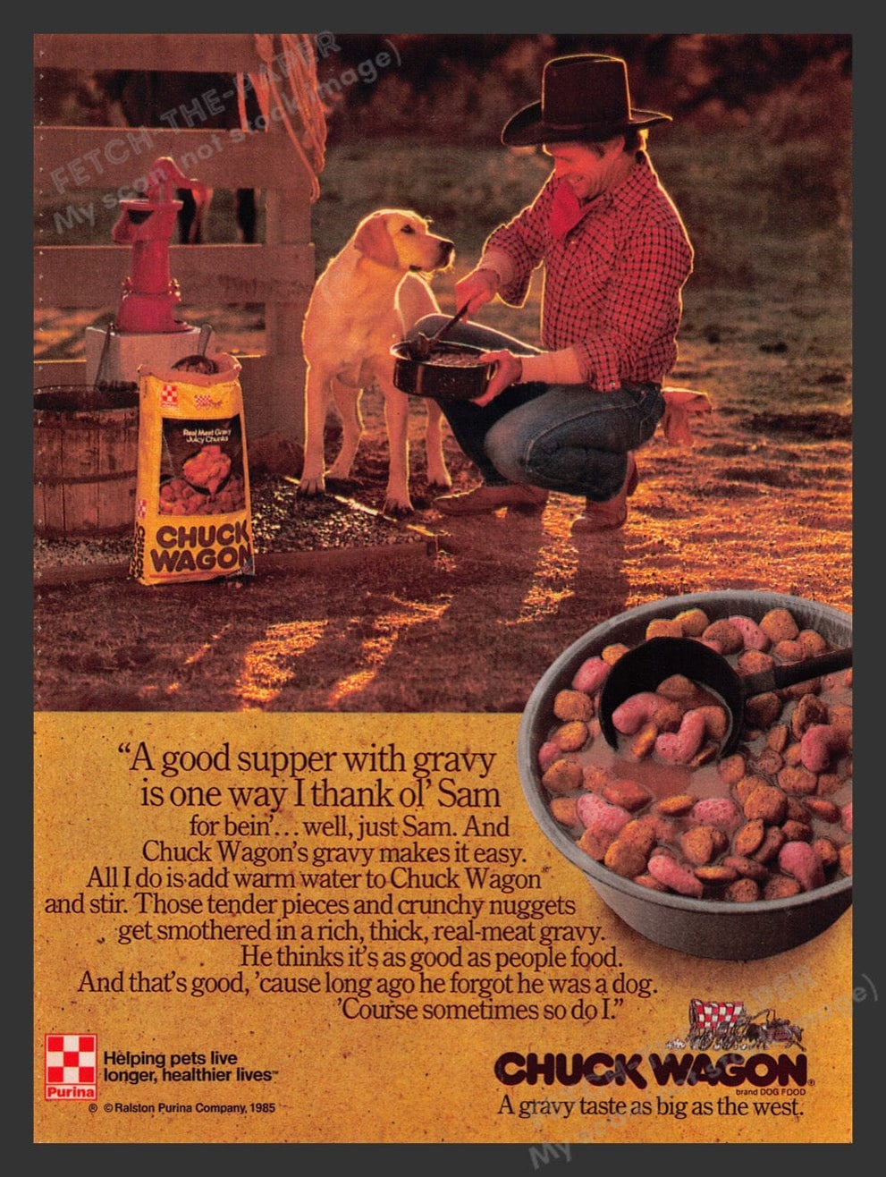 Chuck Wagon 1980s Print Advertisement Ad 1986 Dog Food Yellow Lab Cowb ...