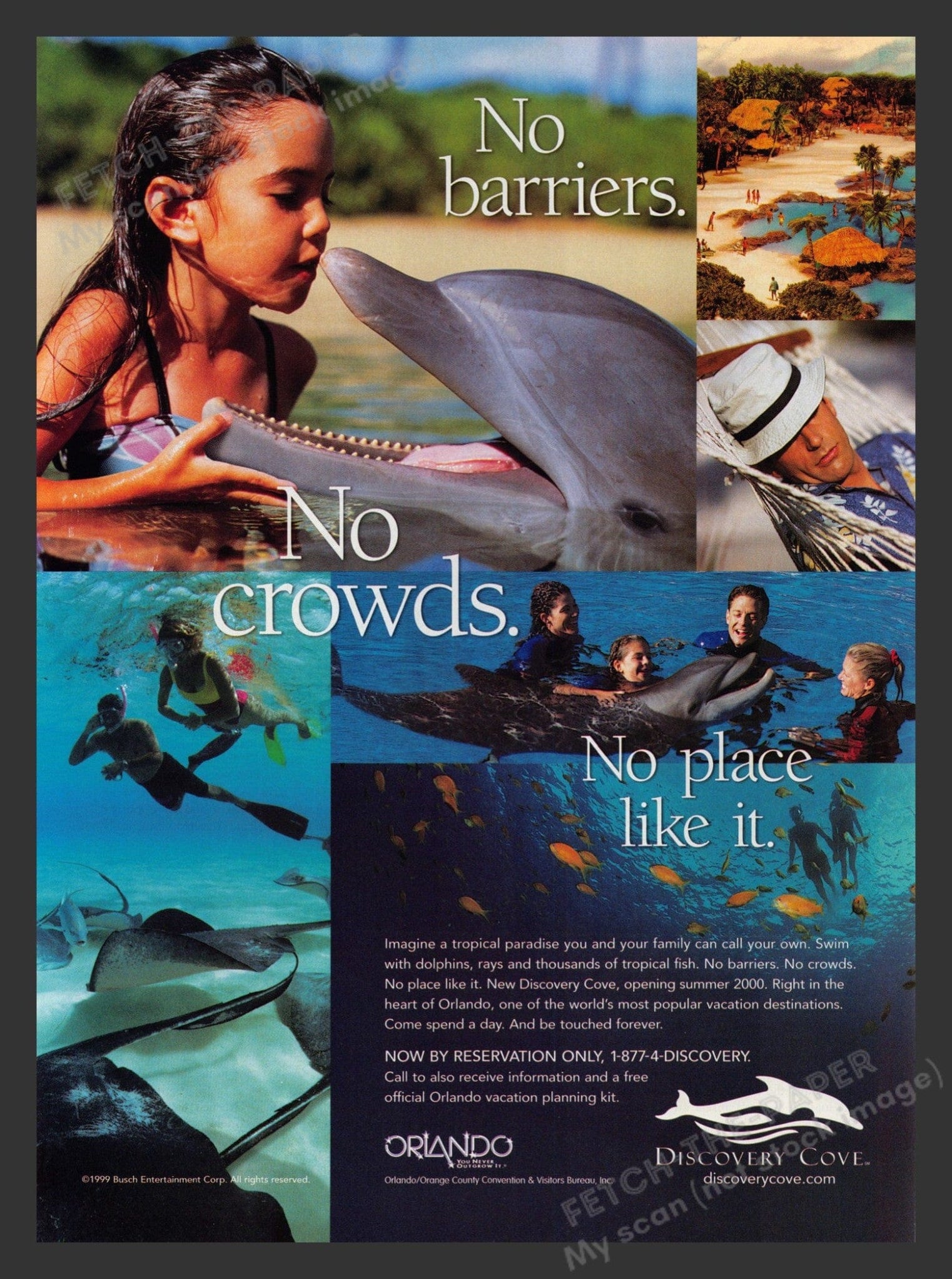 Discovery Cove 2000s Print Ad - Swim with Dolphins in Orlando — Fetch ...