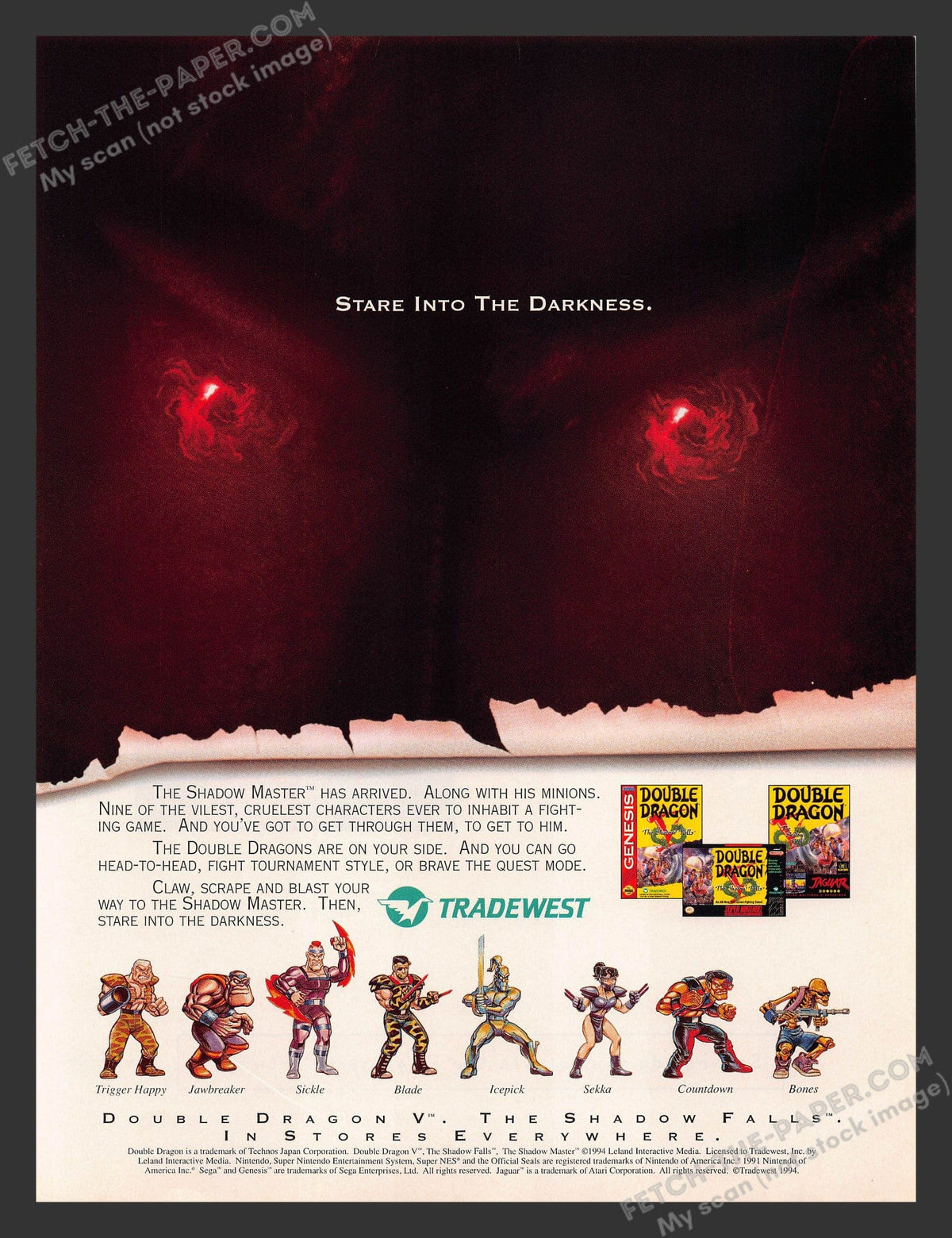 Double Dragon Shadow Master Video Game 1990s Print Advertisement 1994 — Fetch-the-Paper