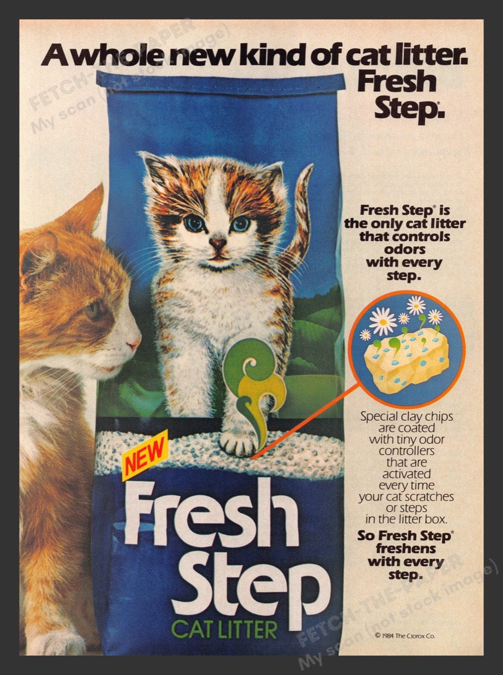 Vintage 1984 Fresh Step Cat Litter Ad - Orange & White Cat — Fetch-the ...