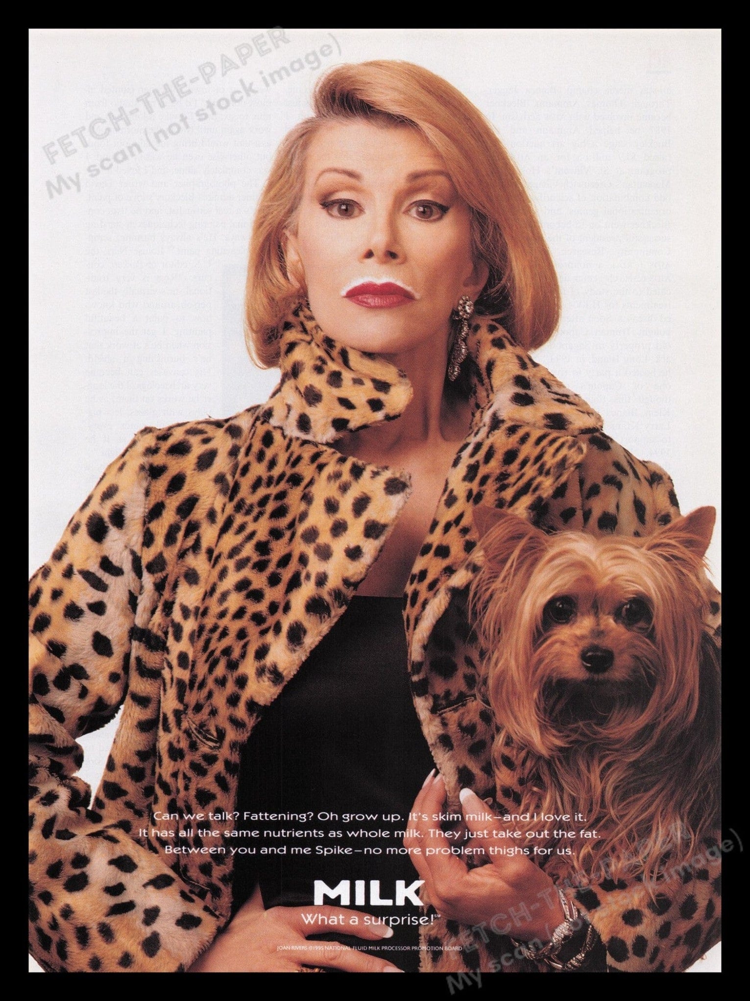 Got Milk? 1995 Print Ad Joan Rivers & Yorkie Dog 8"x11" — Fetch-the-Paper