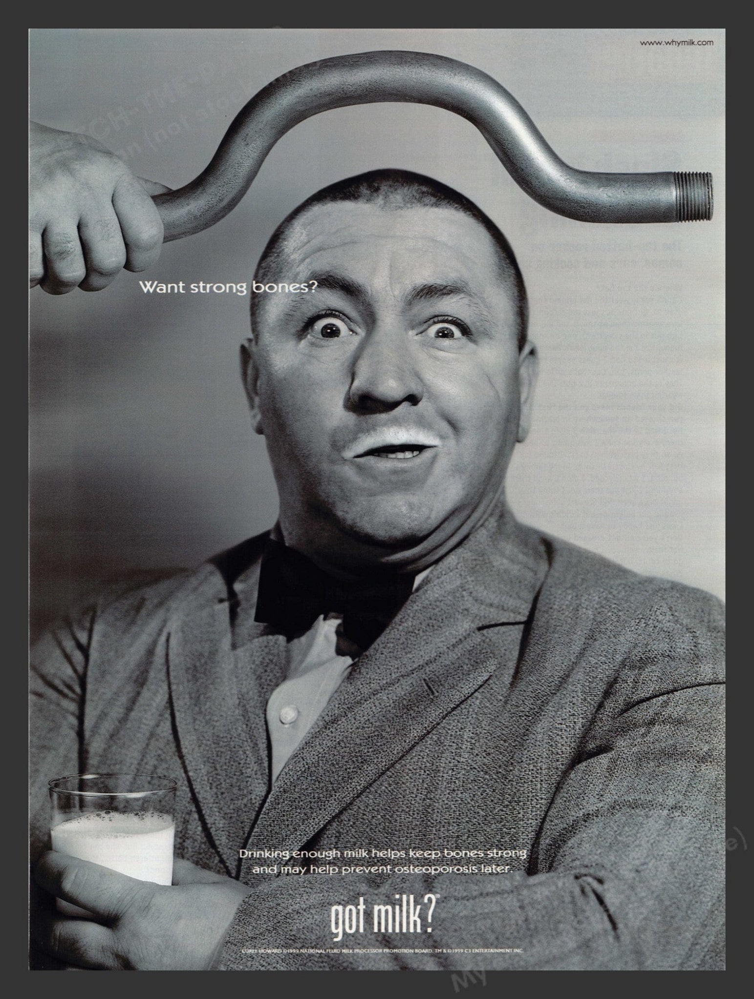 "Got Milk?" Curly Howard Three Stooges 2000 Print Ad — Fetch-the-Paper