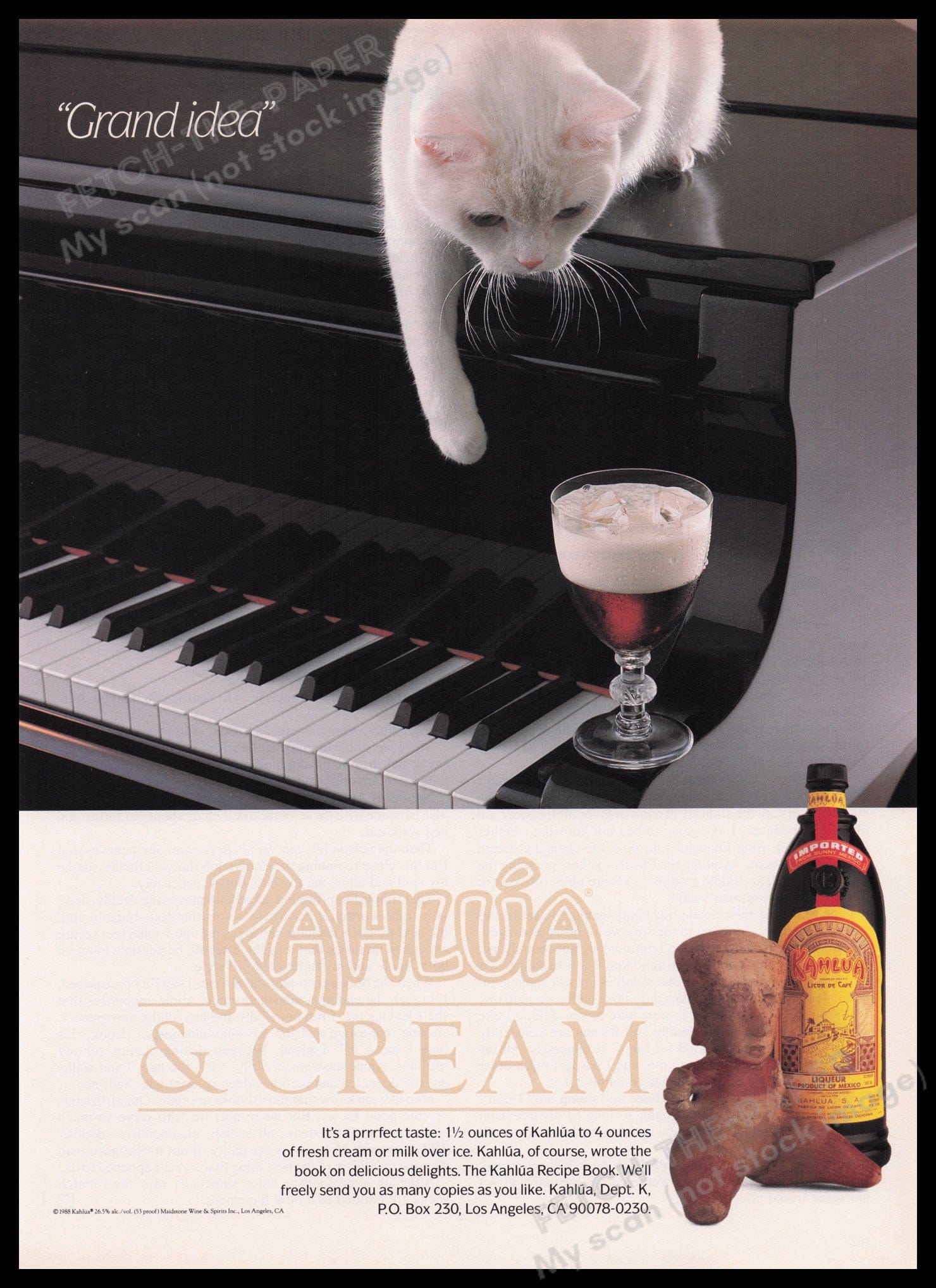 Vintage 1991 Kahlua Liqueur Ad - White Cat on Grand Piano — Fetch-the-Paper