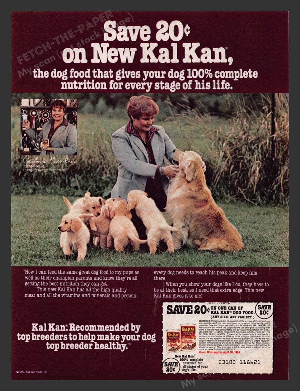 Vintage 1984 Kal Kan Dog Food Ad with Golden Retrievers — Fetch-the-Paper