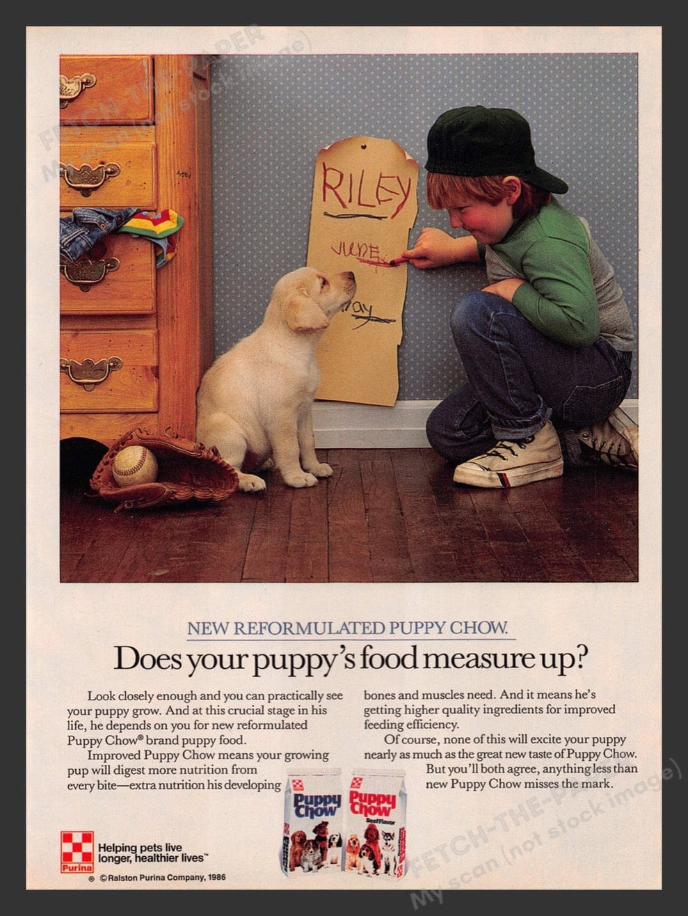 Purina 1980s Print Advertisement Ad 1986 Puppy Chow Food Yellow Lab Si ...