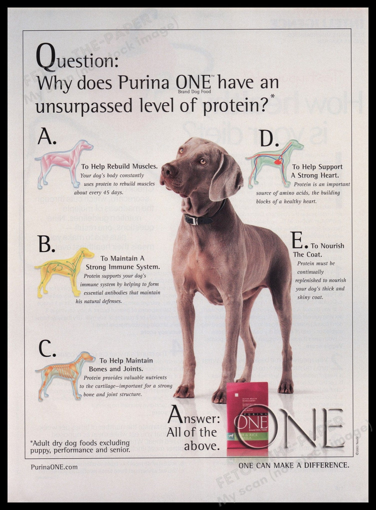 Purina One Dog Food Weimaraner 2000s Print Advertisement Ad 2003 ...