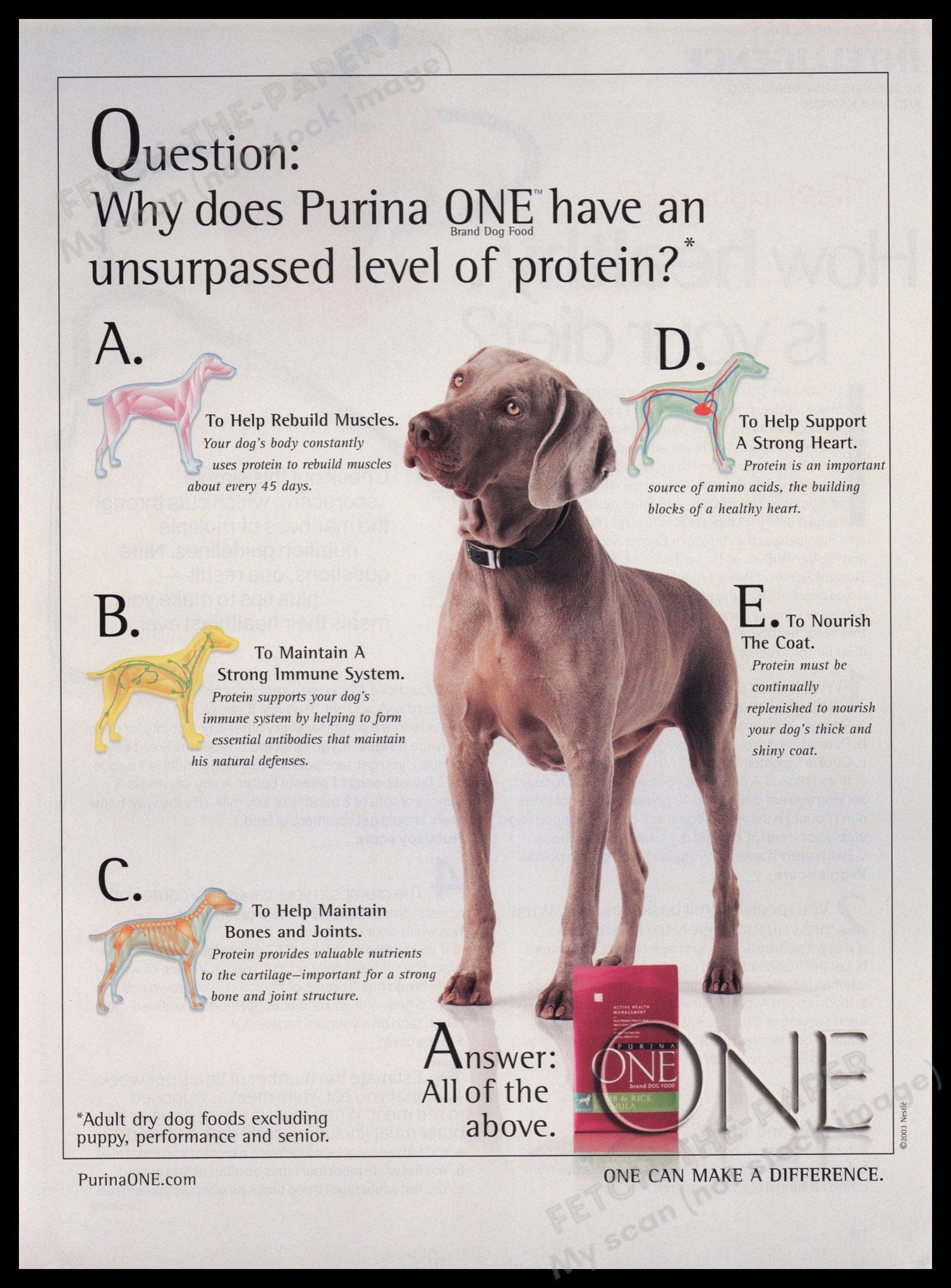 Vintage 2003 Purina One Dog Food Ad - Weimaraner Print — Fetch-the-Paper