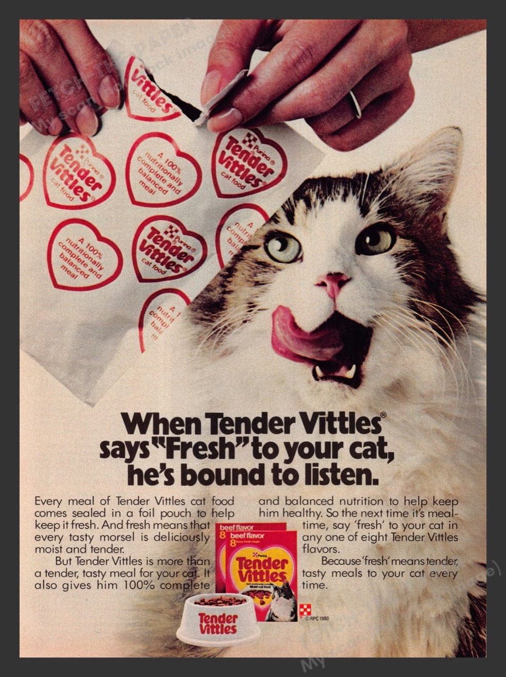 Tender Vittles by Purina Gray & White Cat 1980s Print Advertisement Ad ...