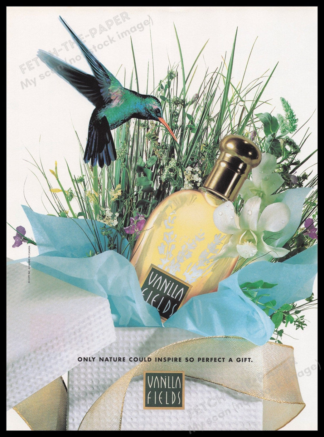 Vanilla Fields Fragrance 1999 Print Ad with Hummingbird — Fetch-the-Paper