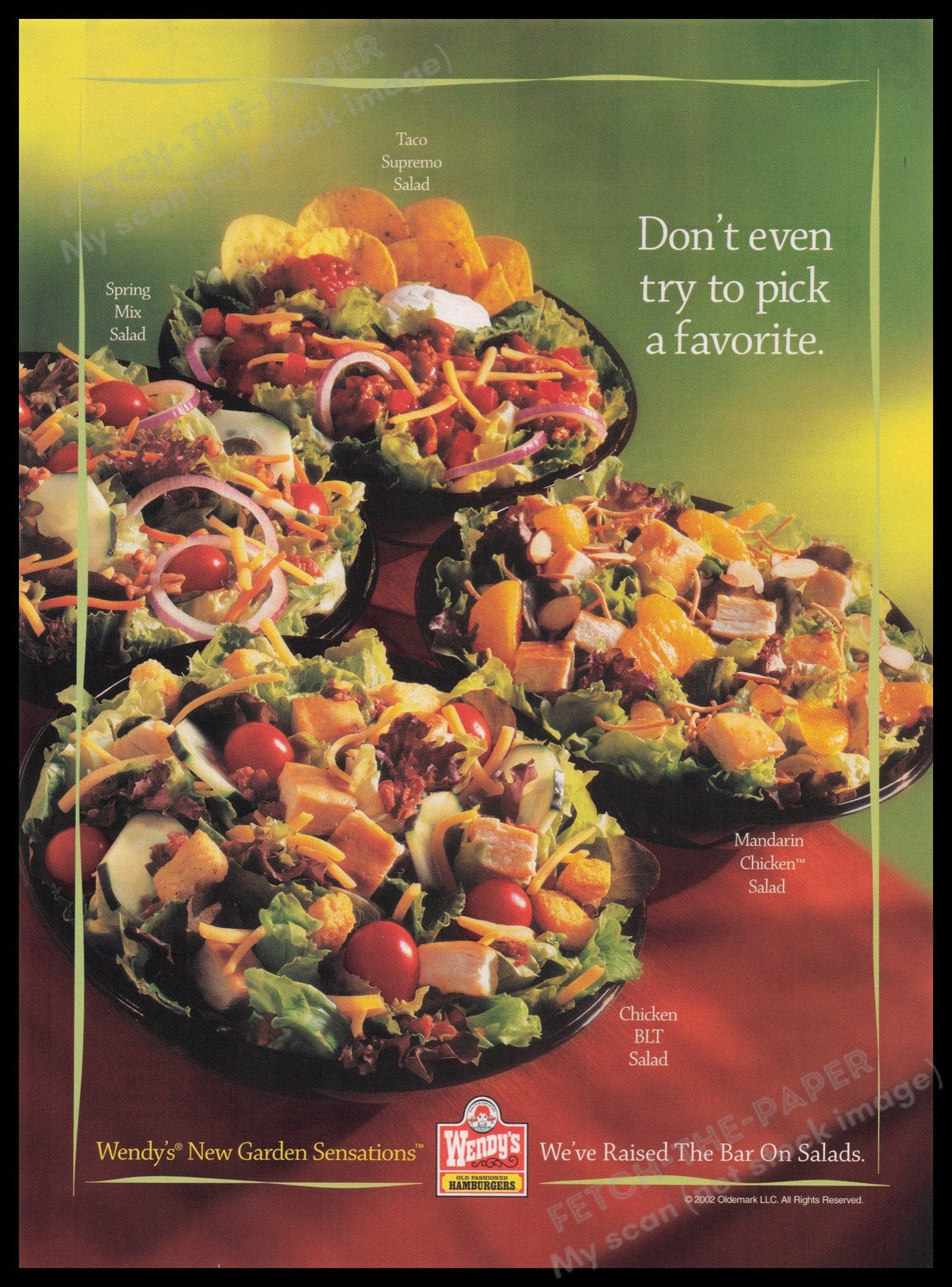 Wendy's Garden Sensations 2000s Print Advertisement Ad 2002 — Fetch-the ...