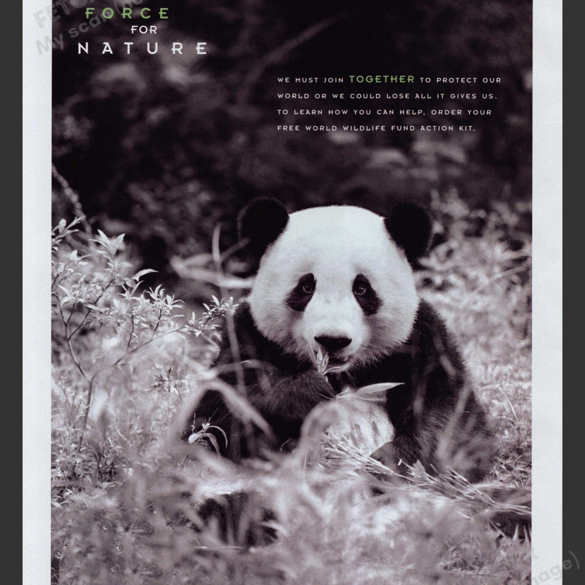 World Wildlife Fund Print Ads WWF What On Earth Are We Doing To Our