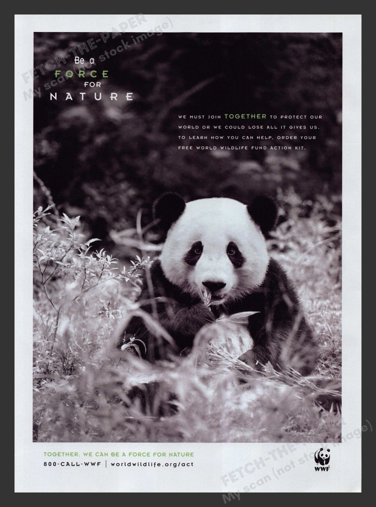 WWF 2000s Print Advertisement 2007 Panda World Wildlife — Fetch-the-Paper