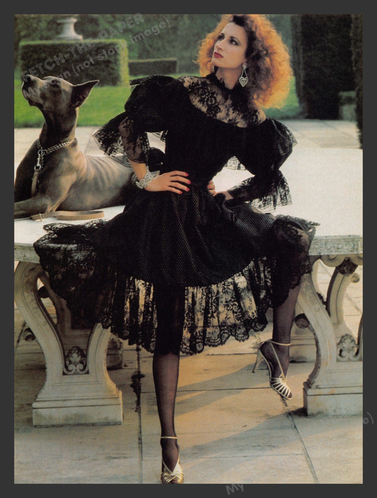 Yves Saint Laurent 1981 Great Dane Hosiery Print Ad — Fetch-the-Paper