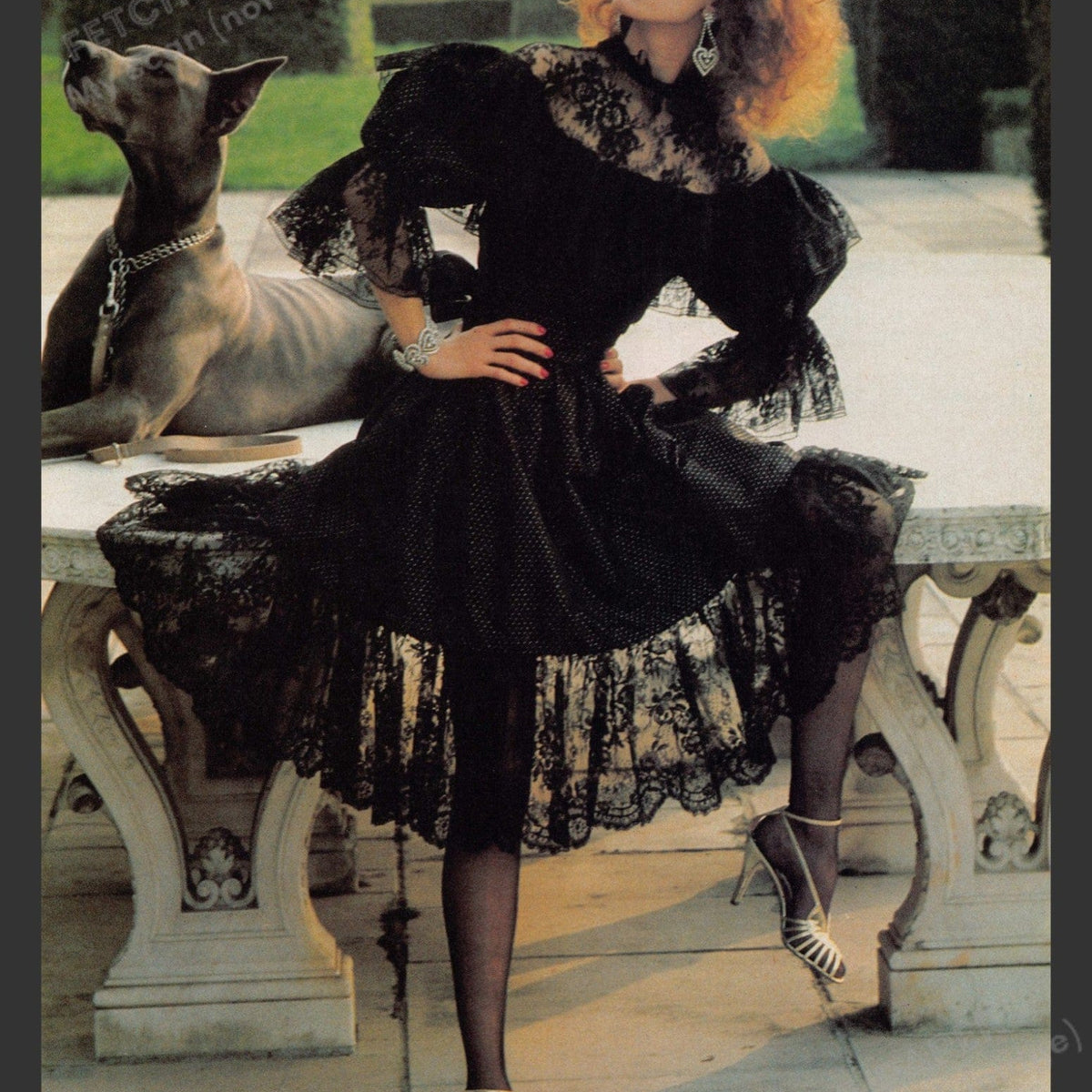 Yves Saint Laurent 1981 Great Dane Hosiery Print Ad — Fetch-the-Paper